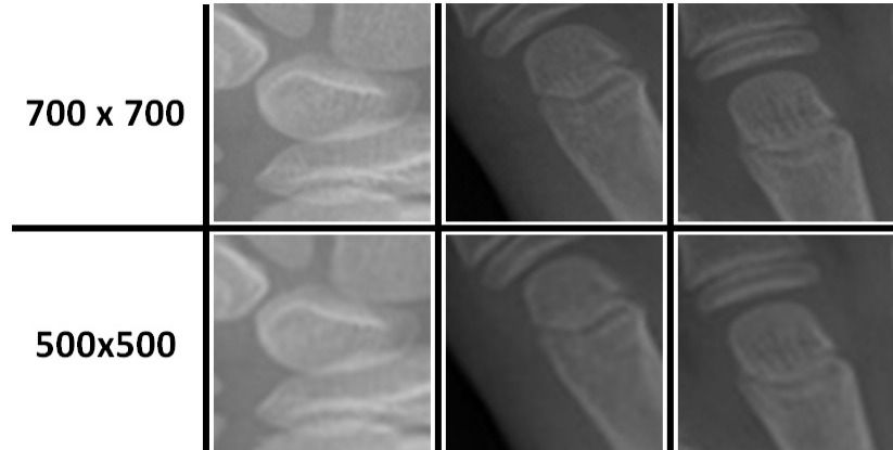 Research Publications – Biomedical Computer Vision