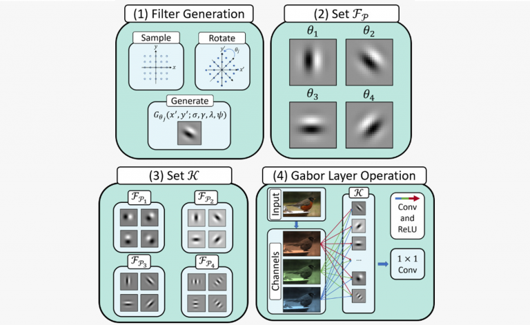 GABOR LAYERS ENHANCE NETWORK ROBUSTNES - Biomedical Computer Vision