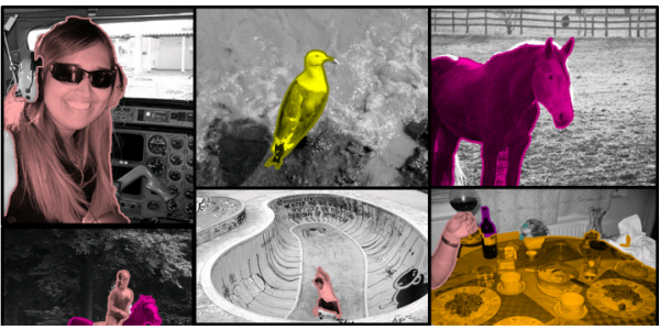 SEMANTIC SEGMENTATION USING REGIONS AND PARTS - Biomedical Computer Vision