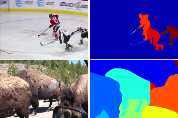 Video Analysis - Biomedical Computer Vision