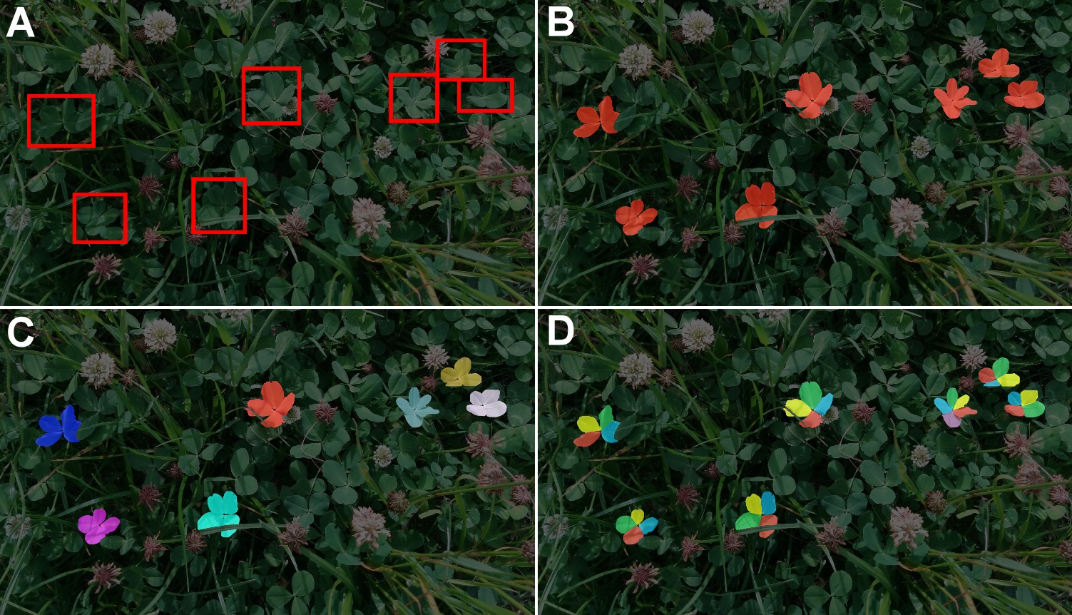 FINDING FOUR-LEAF CLOVERS: A BENCHMARK FOR FINE-GRAINED OBJECT LOCALIZATION - Biomedical ...