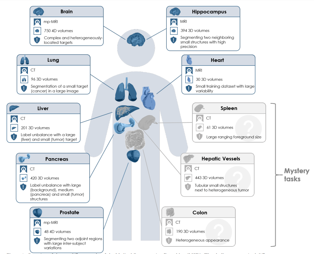 The medical segmentation decathlon - Biomedical Computer Vision